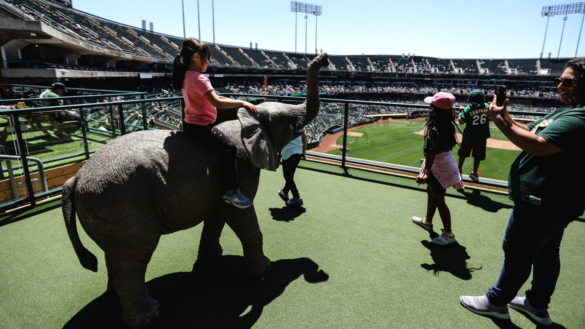 RingCentral Coliseum - The Coliseum - Ballpark of the Oakland A's